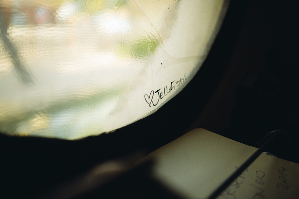 Dena + Brian {Jellyfish Punta Cana} Punta Cana | Dominican Republic ...