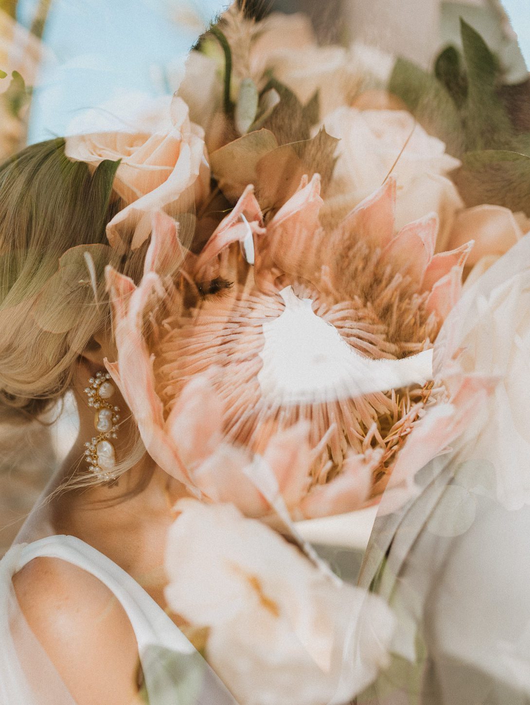 ShoeBox Photo + Film » Wedding • Elopement • Family Photographers ...